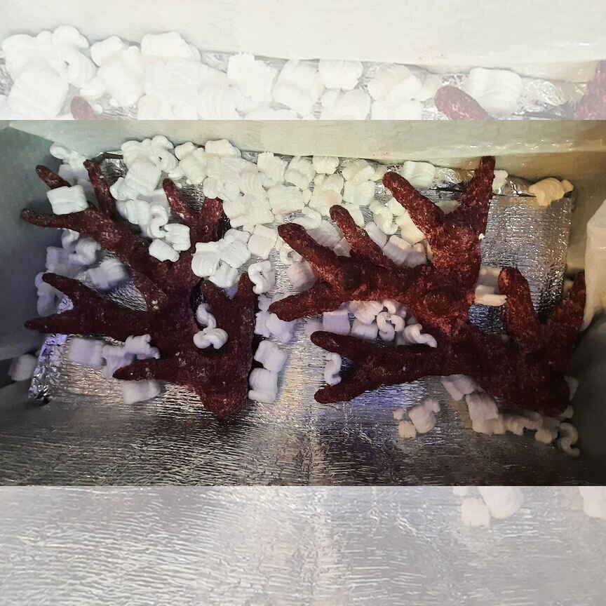 Реплика живых камней фирмы Real reef