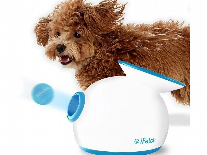 Игра для собак iFetch