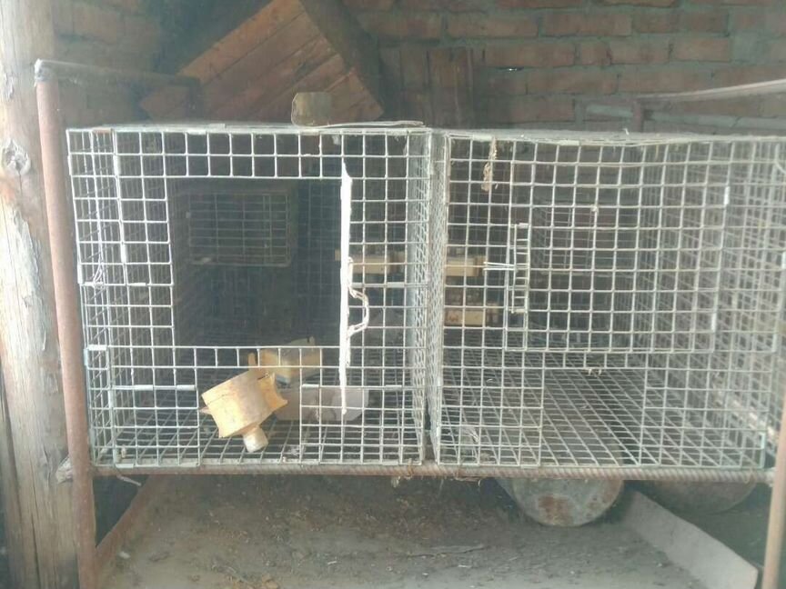 Клетки для кроликов