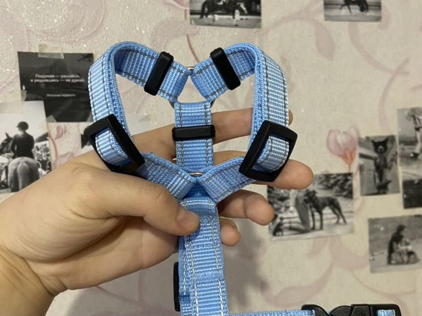 Шлейка (шлея)