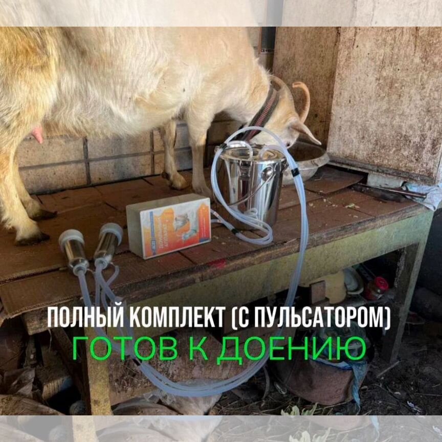 Доильный аппарат для коз и овец, с пульсатором