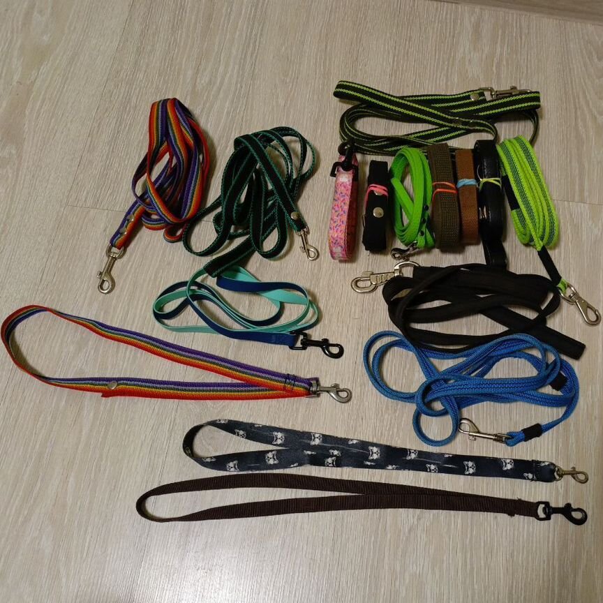 Амуниция для собак