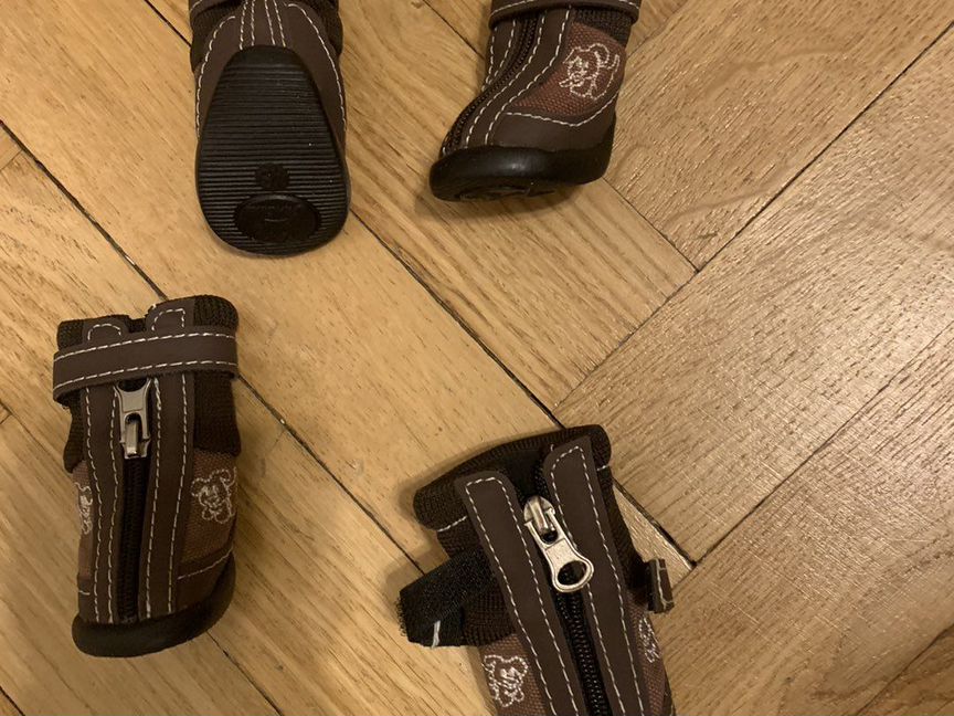 Новая обувь доя собаки xs