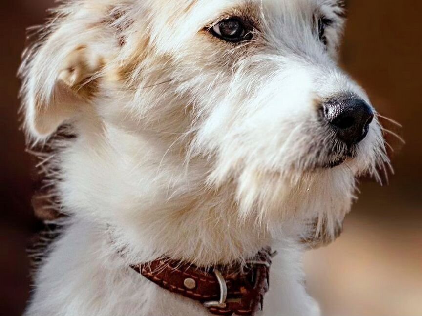 Нежная блондинка Лялечка