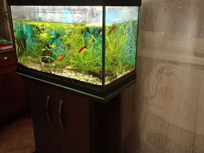 Аквариум с тумбой 120л.(заводской)