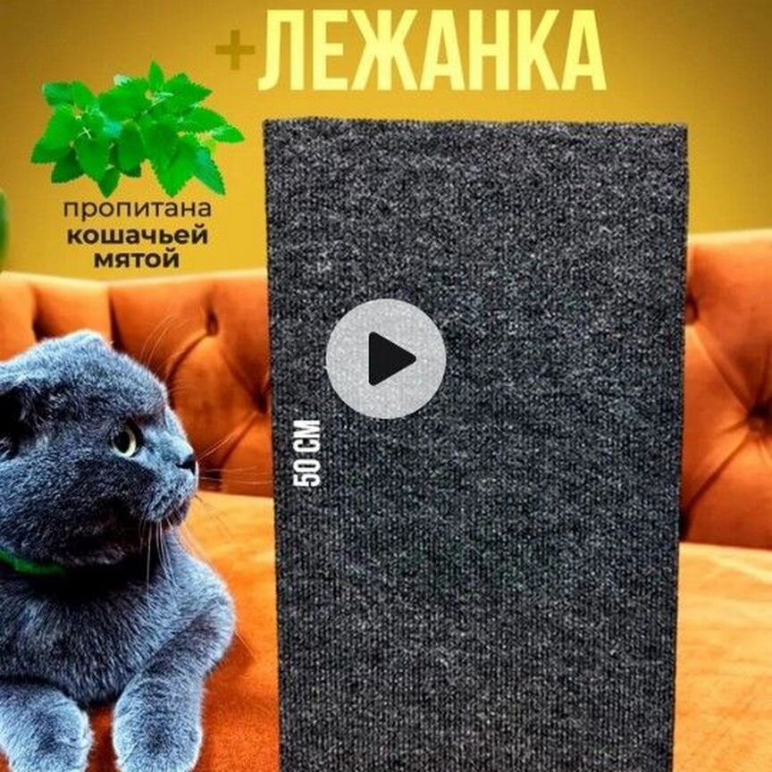 Когтеточка лежанка