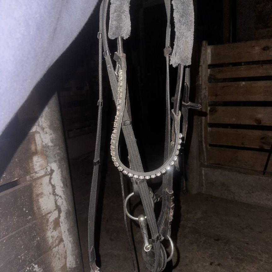 Конная амуниция