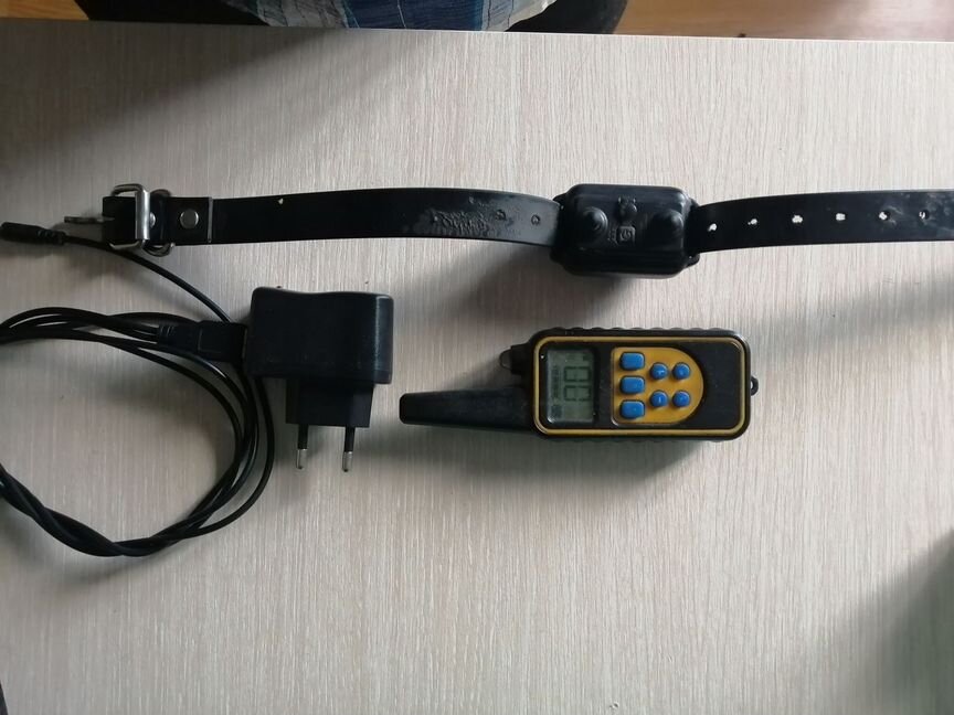 Умный ошейник