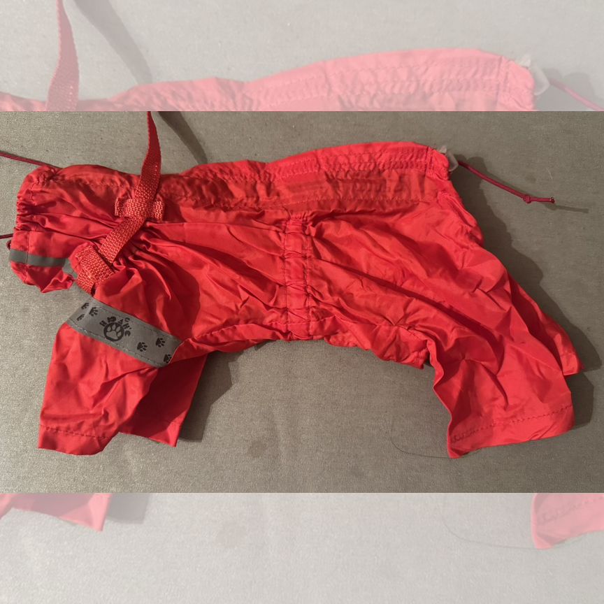 Дождевик на маленькую собаку