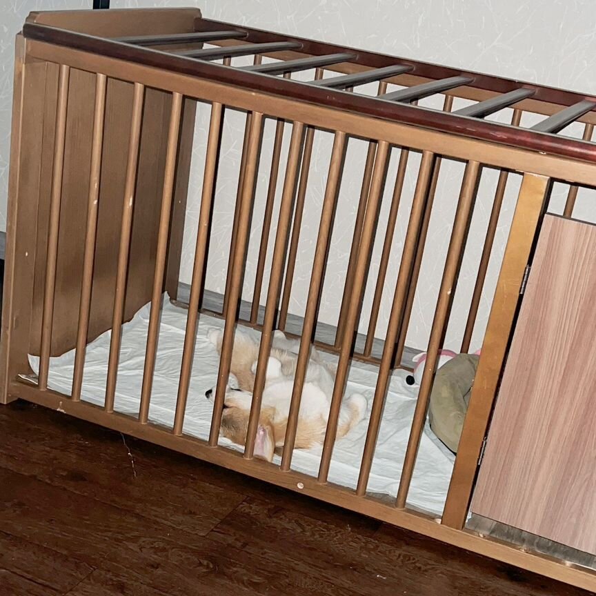 Вальер для собак домашний