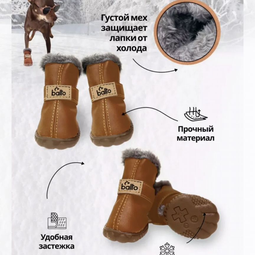 Обувь доя собак мелких пород