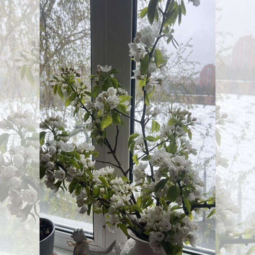 Ветки яблони для животных