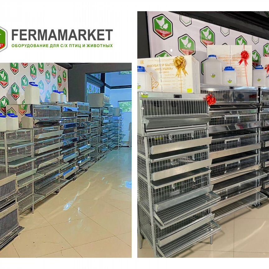 Клетки для перепелов Нижнегорский