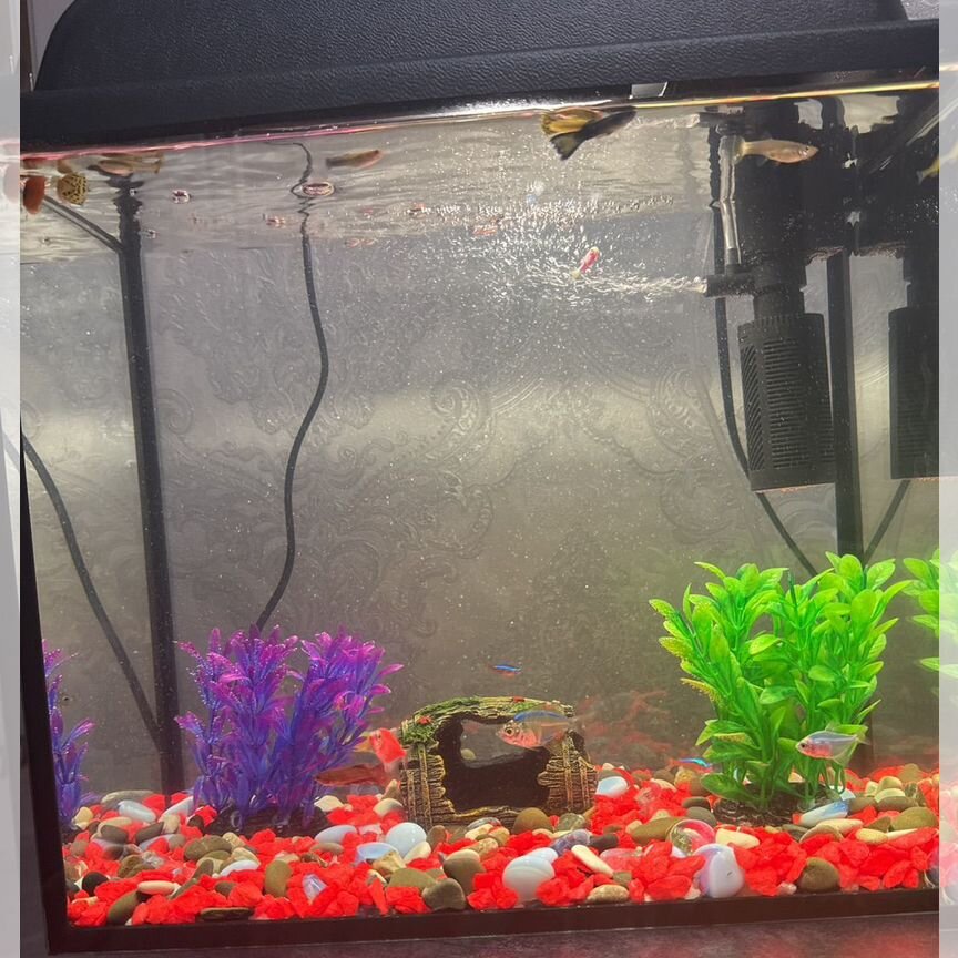 Аквариум с рыбками