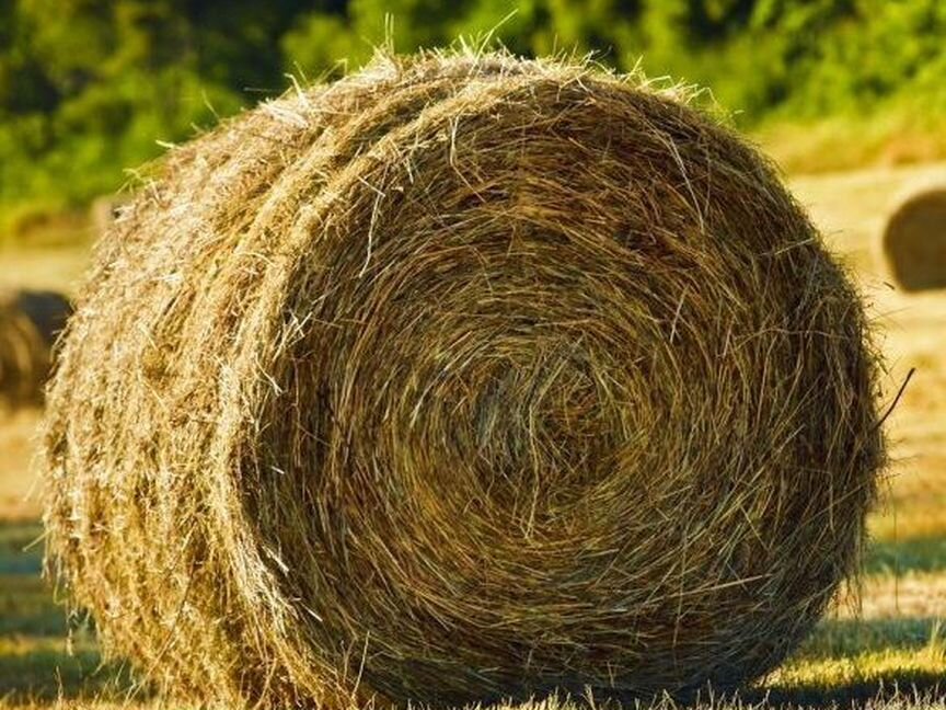 Сено, солома в рулонах