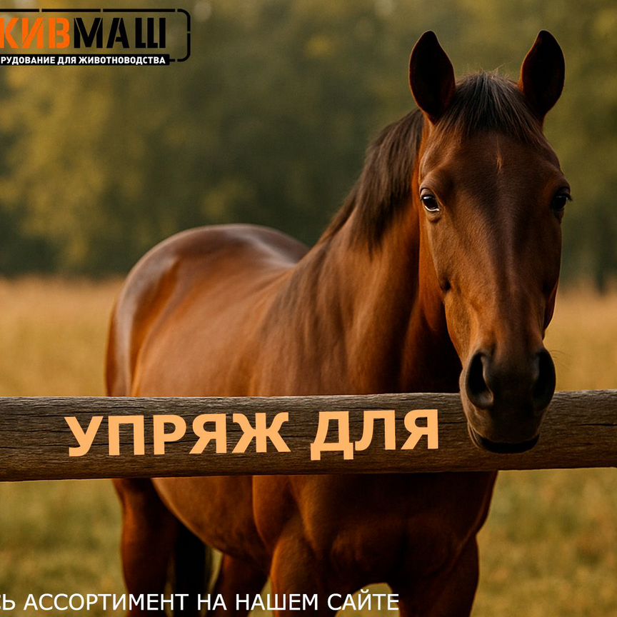 Упряжь для лошади