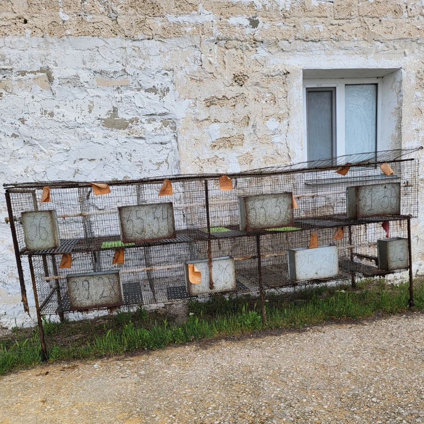 Продам клетки для кролей не новые