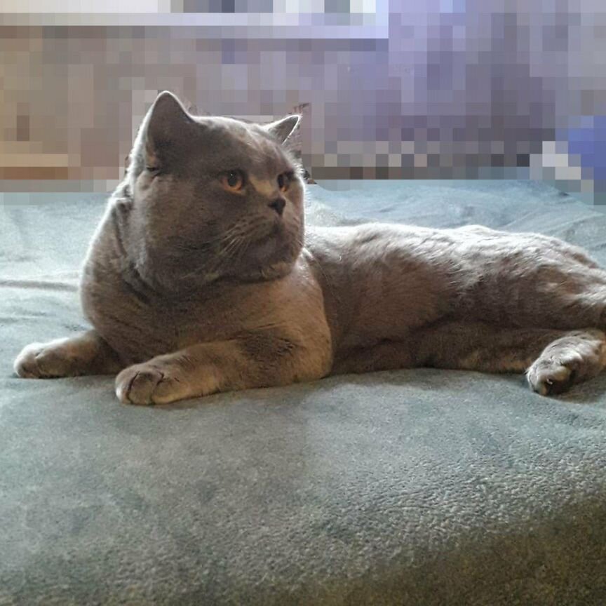 Котик для вязки