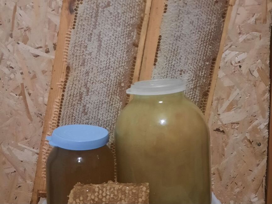 Рамки сушь, мёд в сотах