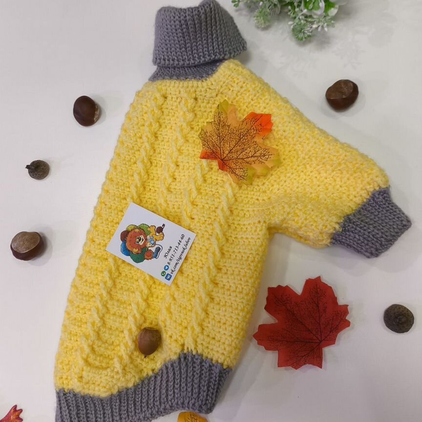 Свитер для мопса