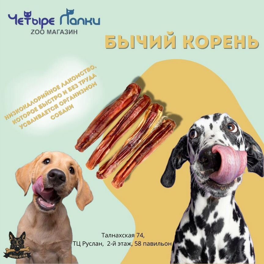 Лакомство для собак бычий корень