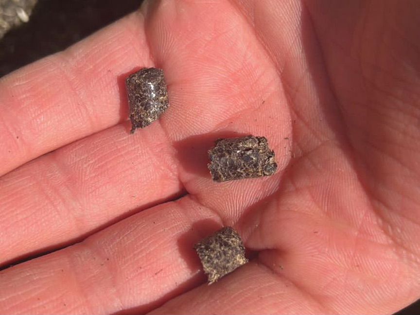 Лузга подсолнечника