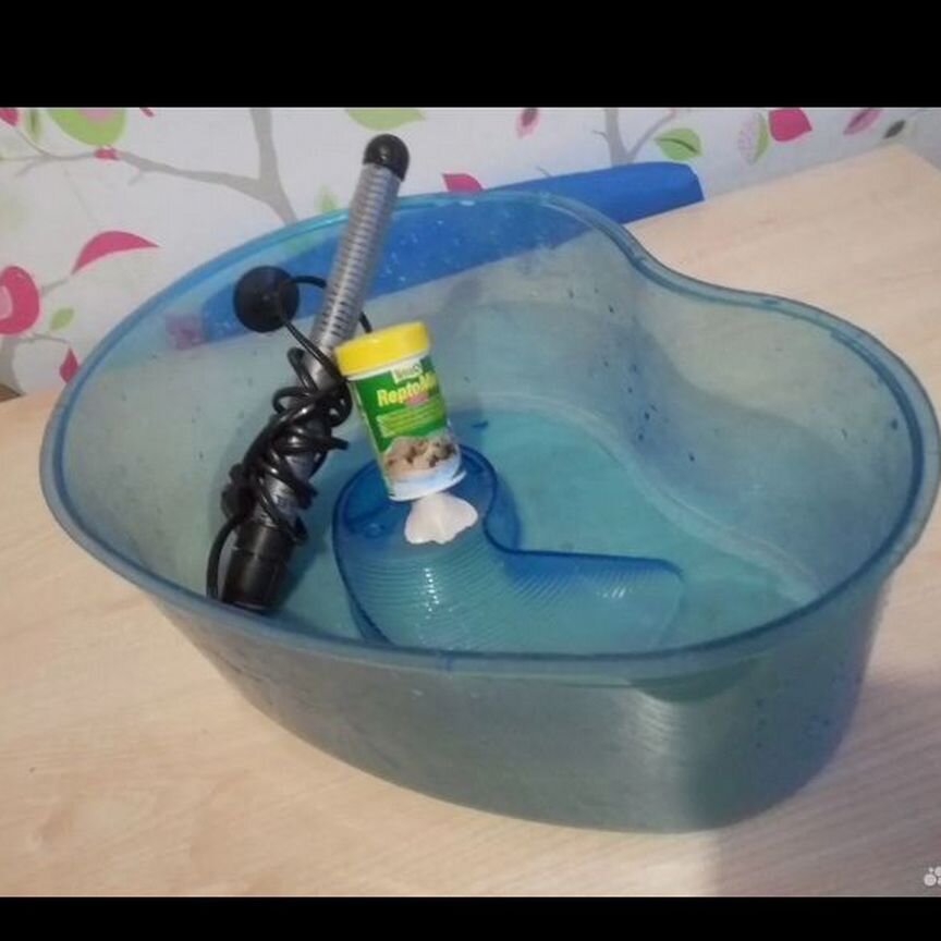 Террариум для черепахи