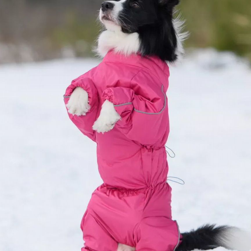 Комбинезон для собак