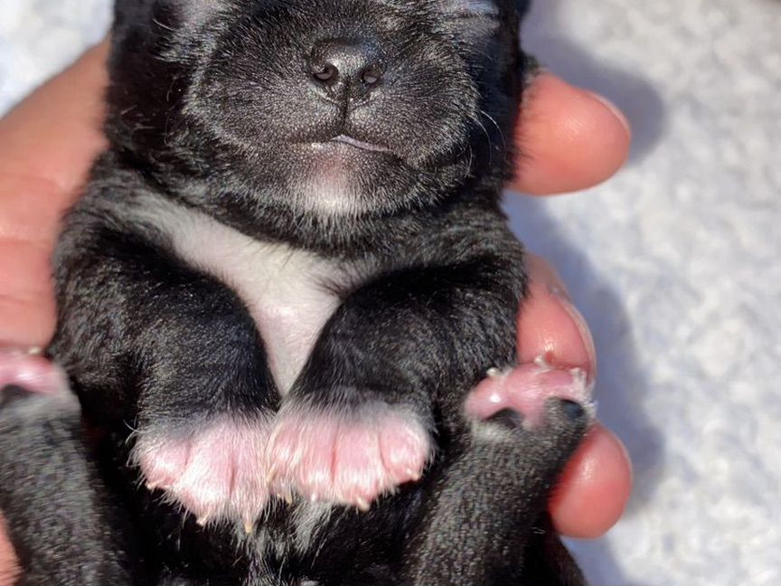 Мелочь на счастье