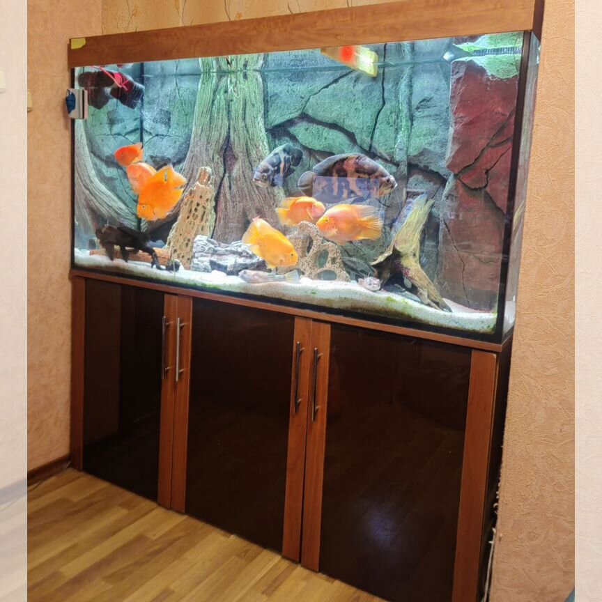 Аквариум с тумбой, оборудованием и рыбками