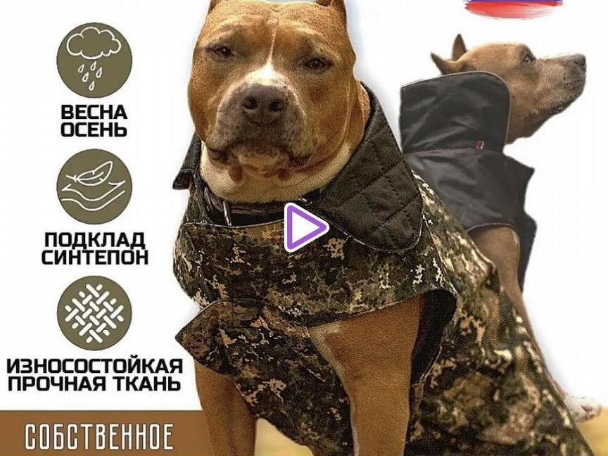 Попона для собак новая (комбинезон)