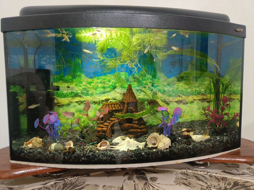 Украшение для аквариума