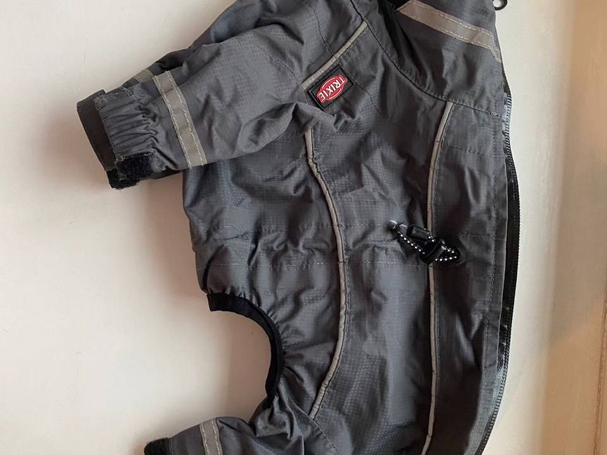 Костюм для маленьких собак осенний