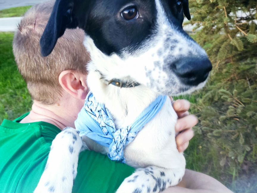 Девочка 5 мес, с приюта мечтает быть в тепле