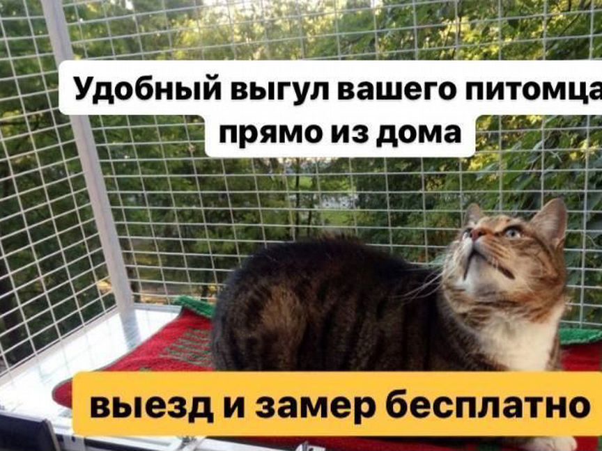 Балкончик для кошек/выгул
