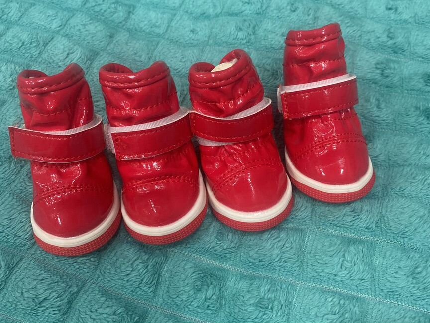 Кеды для собак