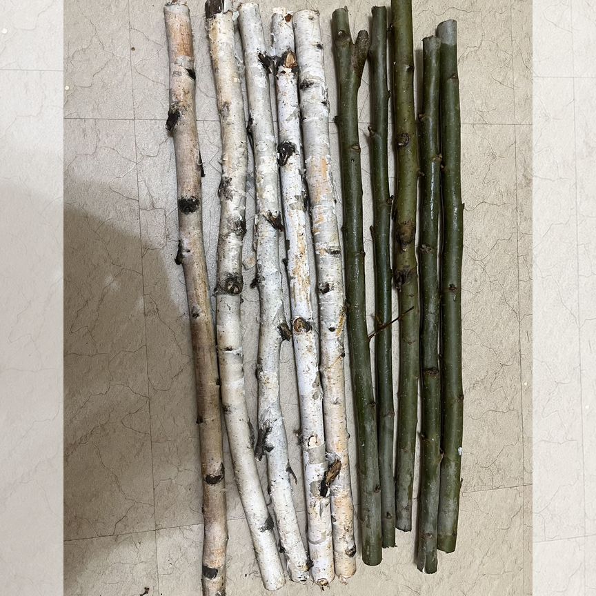 Веточки для птиц и грызунов