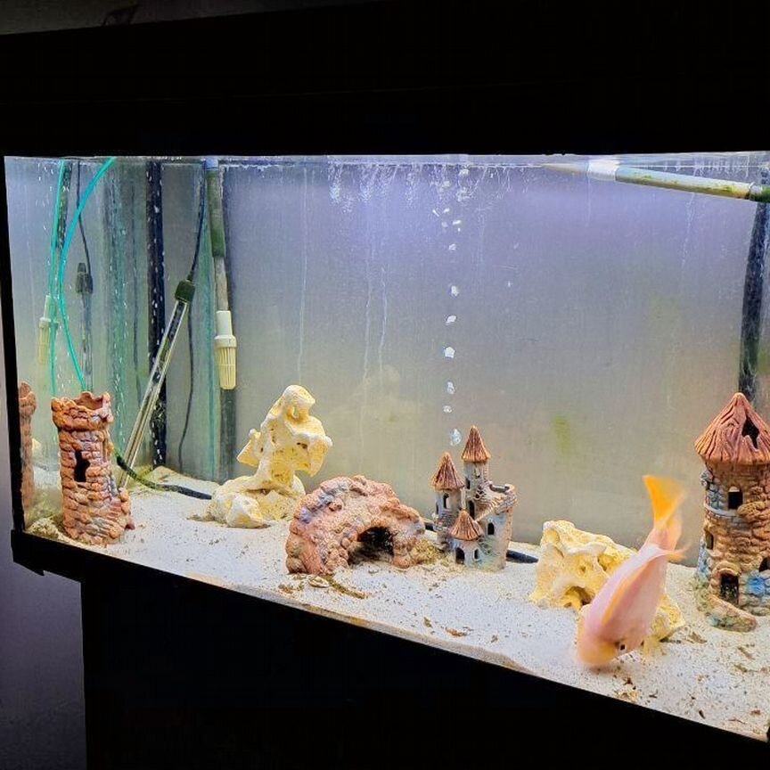 Аквариум и все оборудование с рыбкой попугай
