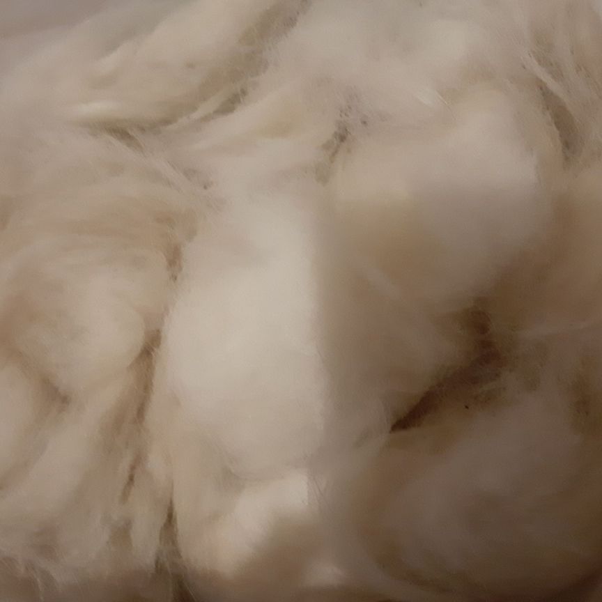 Продам собачью шерсть