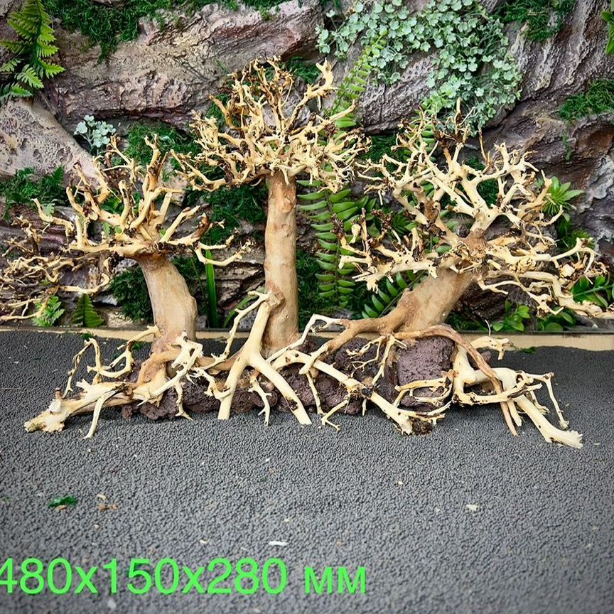 Коряга Бонсай бон25
