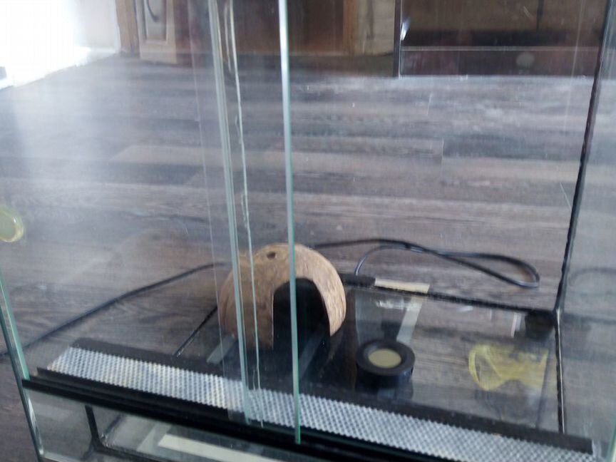 Террариум 30/30/30 с термоковриком