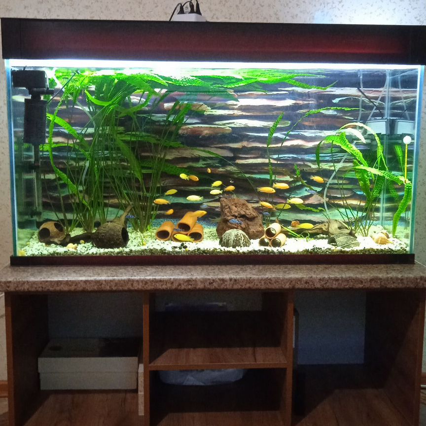 Аквариум с тумбой