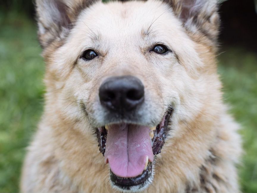 Булочка ждет свою семью