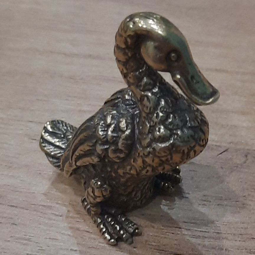 Птица, Утка, Тукан, Фламинго