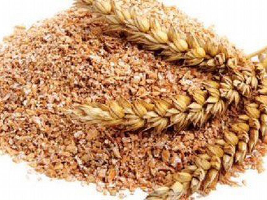 Зерно озимой пшеницы