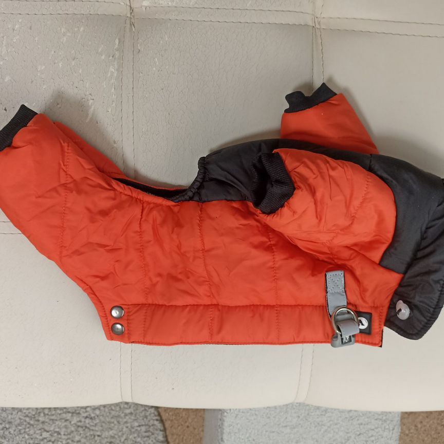 Одежда для собак