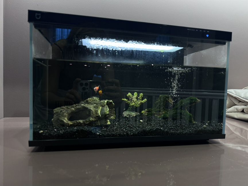 Умный аквариум xiaomi tank