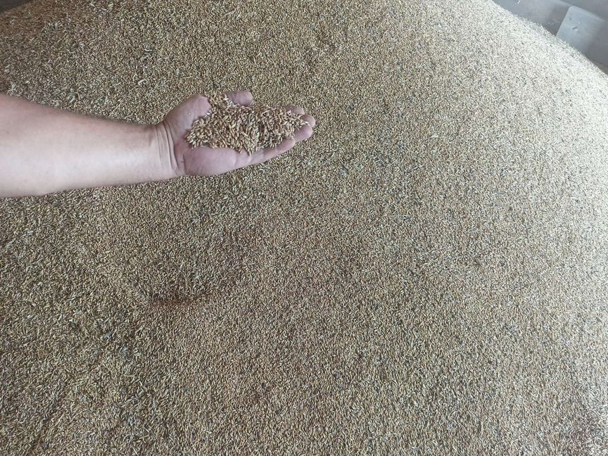 Зерносмесь