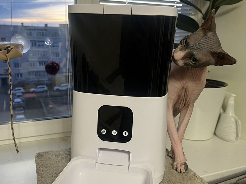 Автоматическая кормушка для кошек