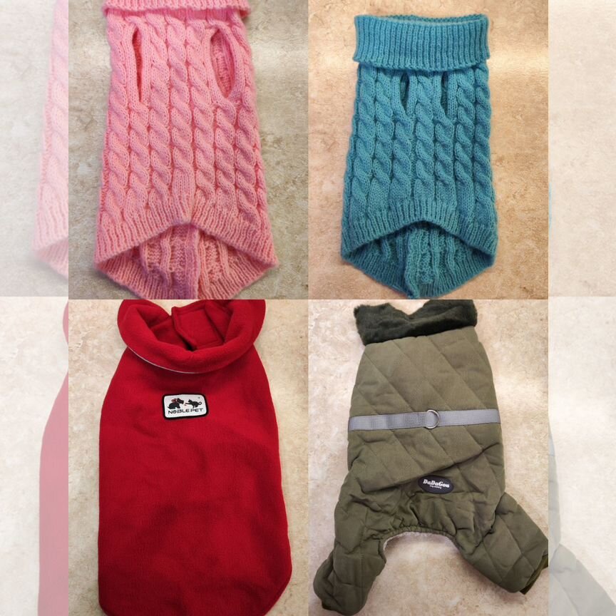 Одежда для собак мелких и средних пород